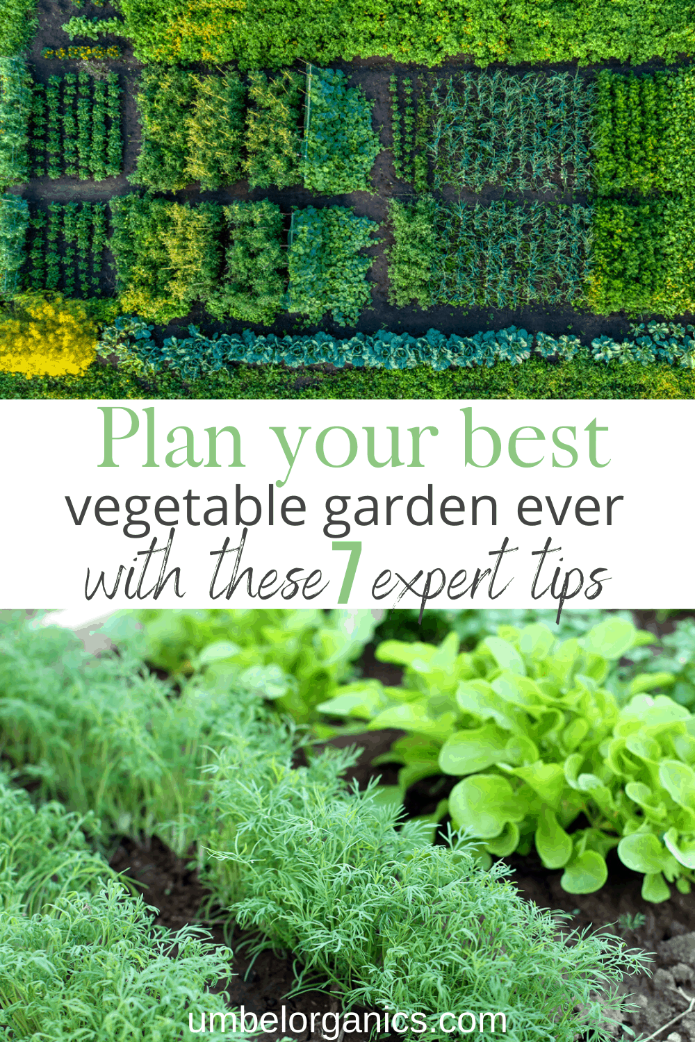 How To Plan Your Garden Layout - Umbel Organics