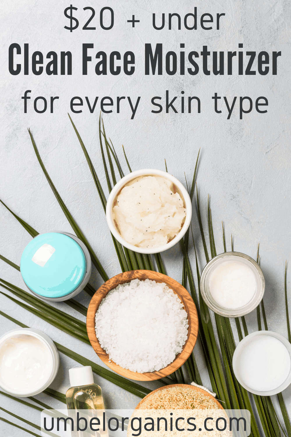 Clean Face Moisturizer On A Budget | Umbel Organics - Umbel Organics