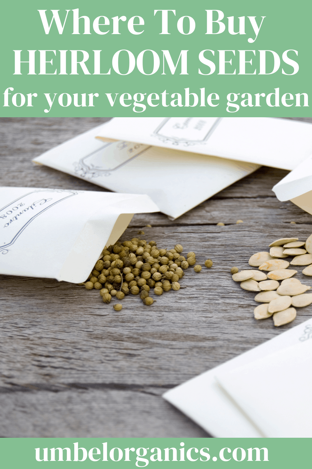 Where To Buy The Best Vegetable Seeds - Umbel Organics