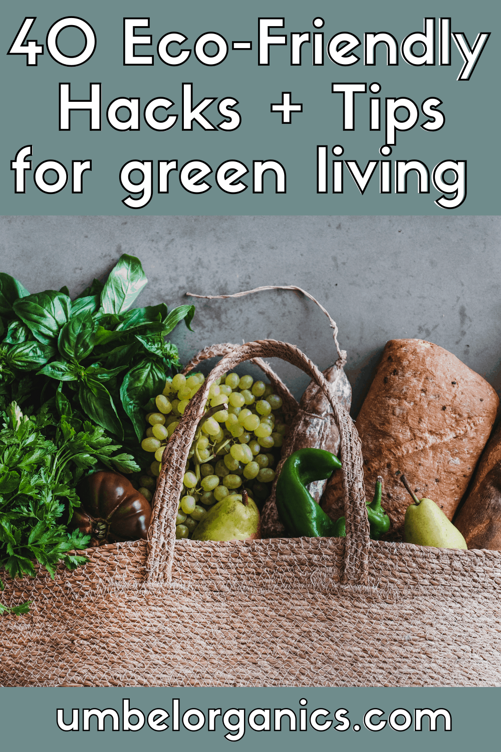 Sustainable Ideas For An Eco-Friendly Lifestyle - Umbel Organics