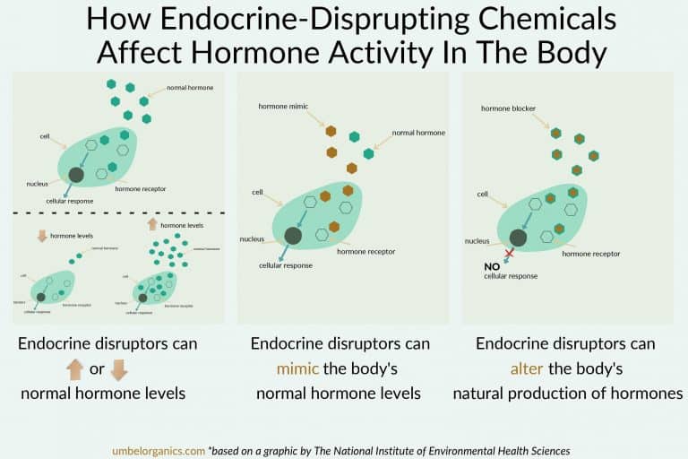 5 Top Endocrine Disrupting Chemicals & How To Avoid Them - Umbel Organics