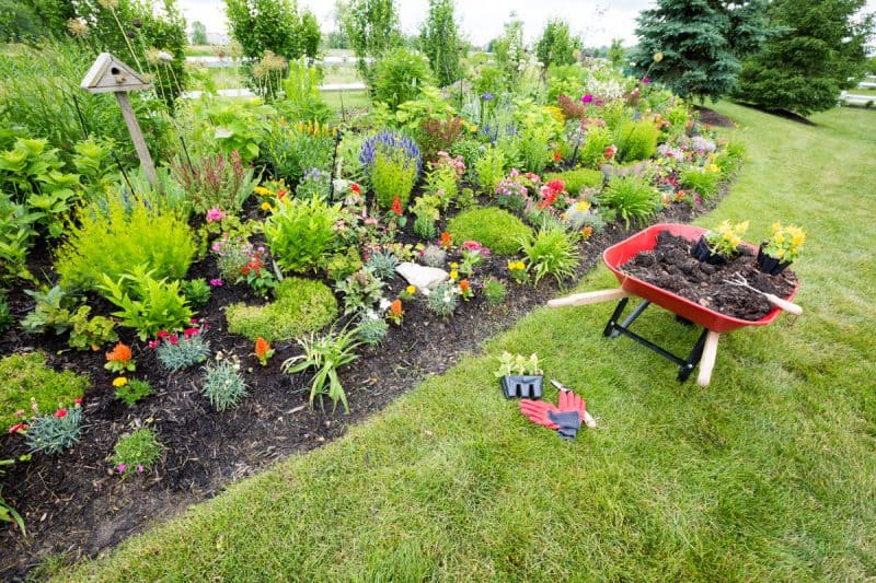 8 Steps To An Eco-Friendly, Organic Lawn - Umbel Organics