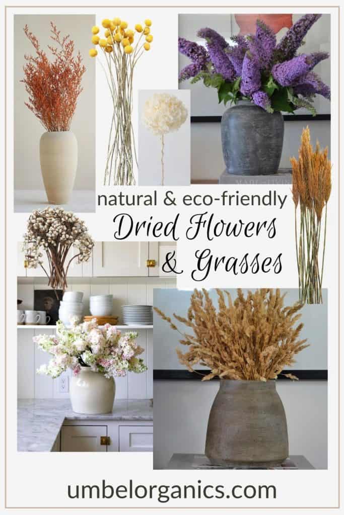 Natural Eco Friendly Dried Flowers Grasses Umbel Organics