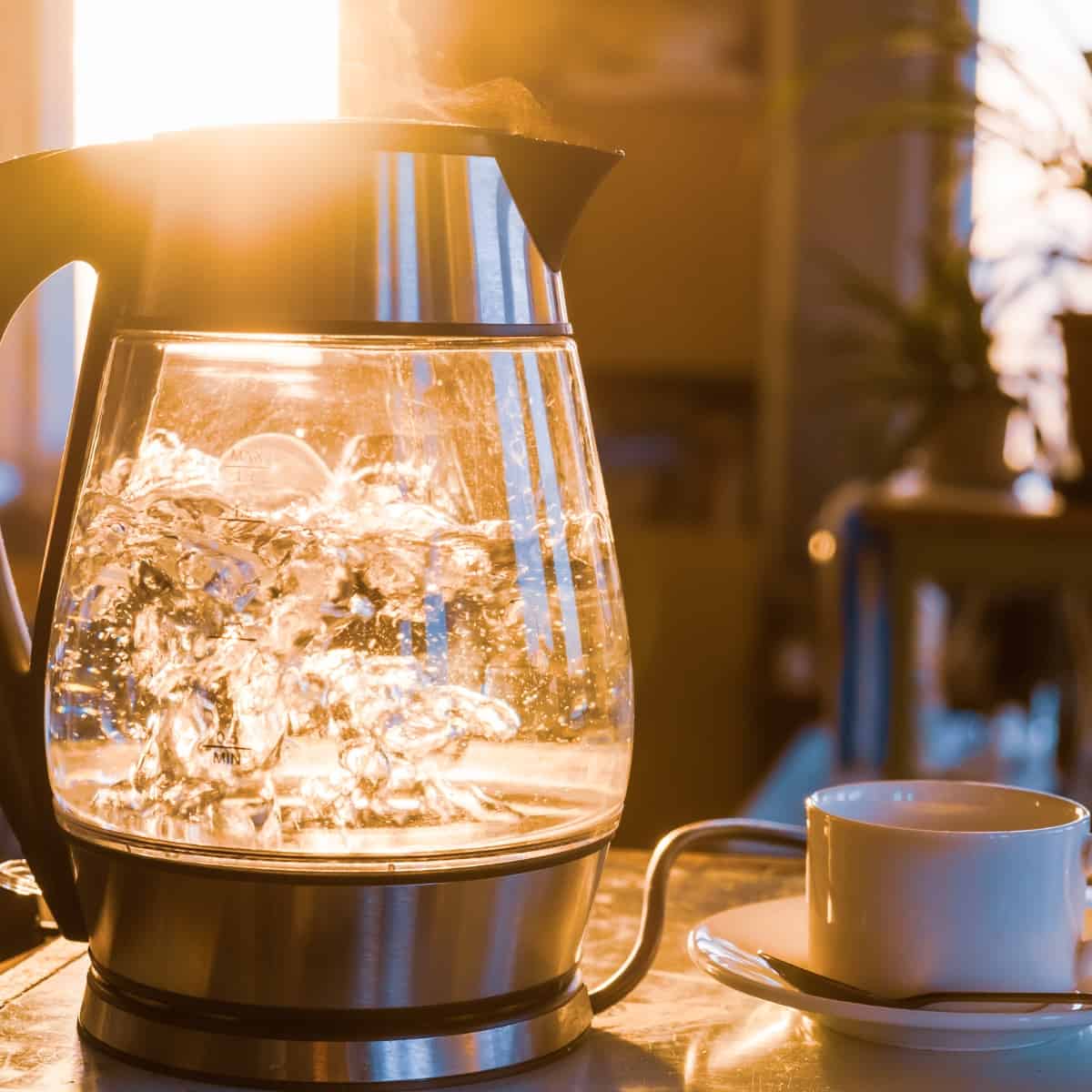 The Best Non-Toxic Small Kitchen Appliances - Umbel Organics