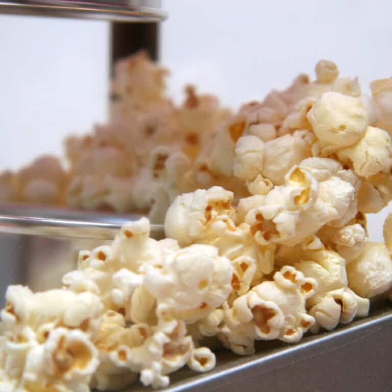 The Best Non-Toxic Small Kitchen Appliances - Umbel Organics