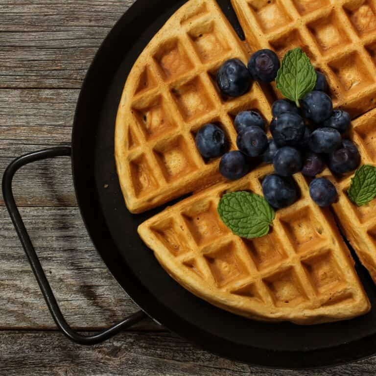 The Best Non-Toxic Small Kitchen Appliances - Umbel Organics