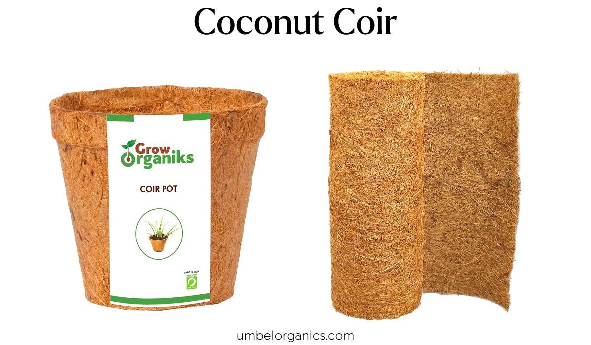 Non-Toxic Planters & Containers For Organic Gardening - Umbel Organics