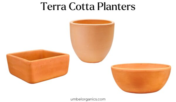 Non-Toxic Planters & Containers For Organic Gardening - Umbel Organics
