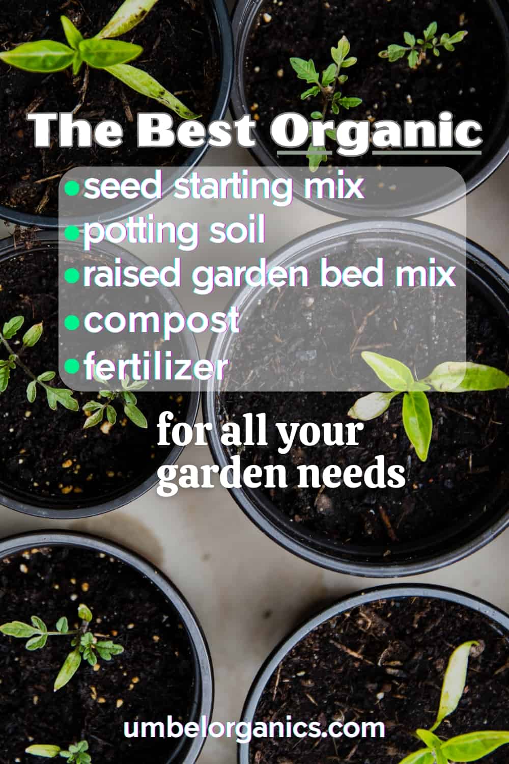 The Best Organic Soil, Fertilizer & Compost For Your Garden - Umbel ...