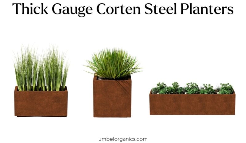 Non-Toxic Planters & Containers For Organic Gardening - Umbel Organics