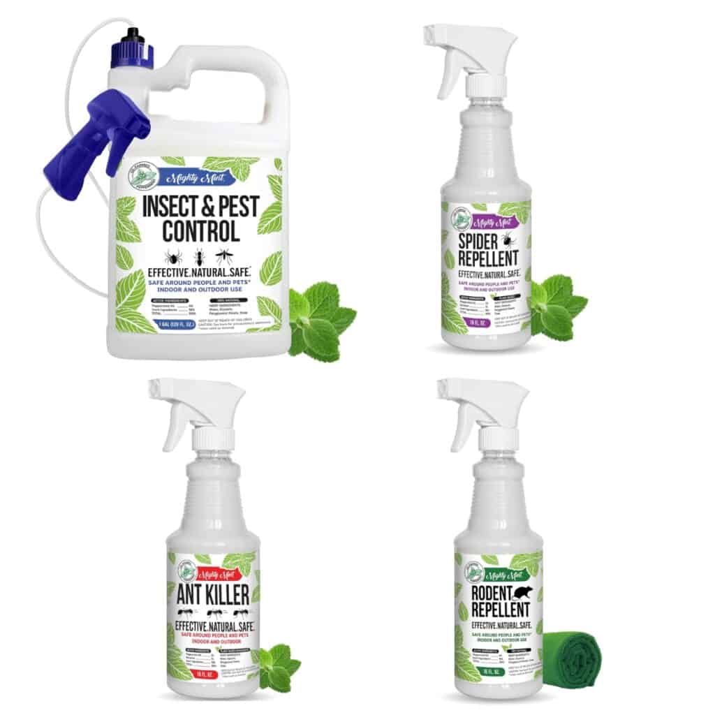 Non-Toxic Pest & Insect Control Products - Umbel Organics